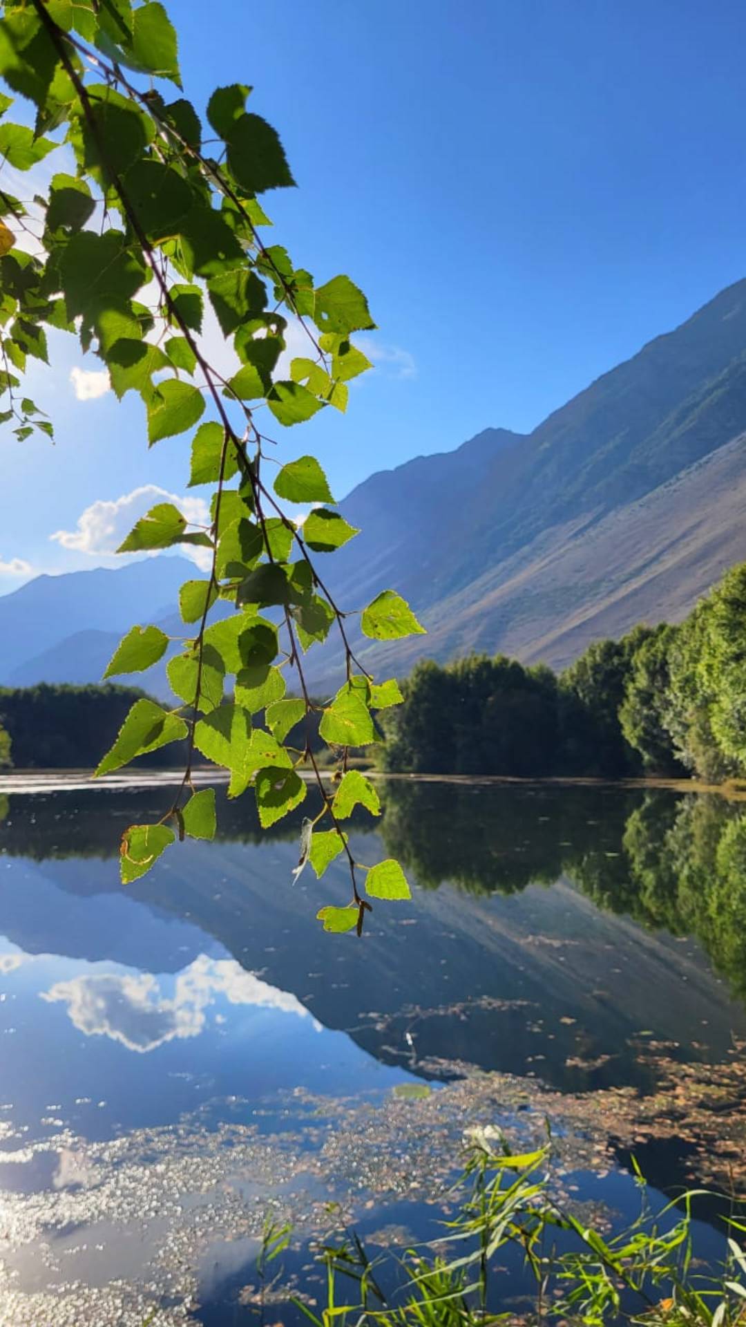 Коваленко Алёна 13 лет