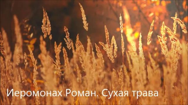 Иеромонах Роман. СУХАЯ ТРАВА. Читает Виктор Золотоног