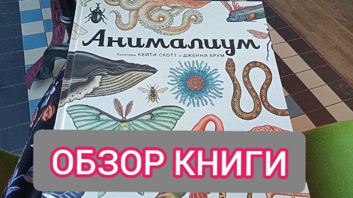 ОБЗОР ДЕТСКОЙ КНИГИ АНИМАЛИУМ