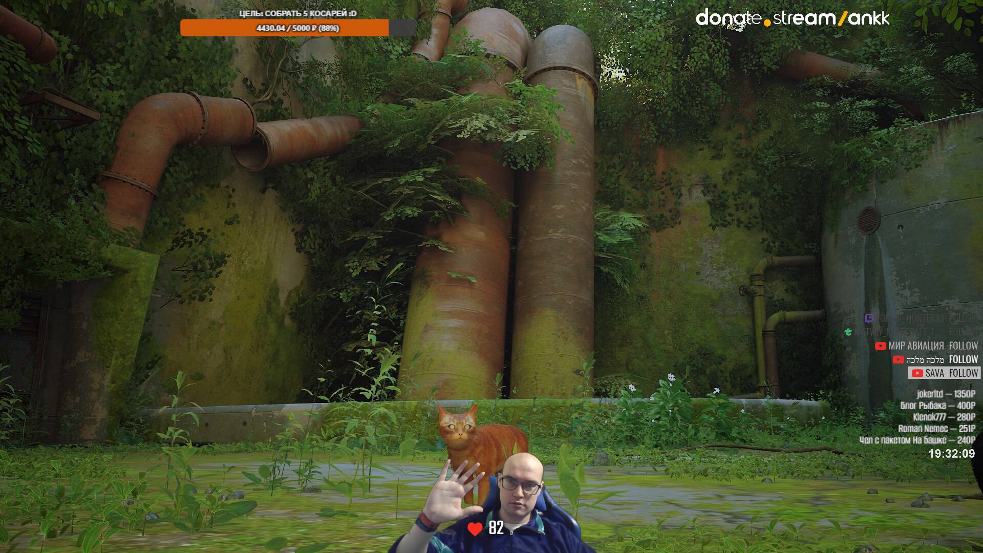 UnluckyStream #252 Stray 😼