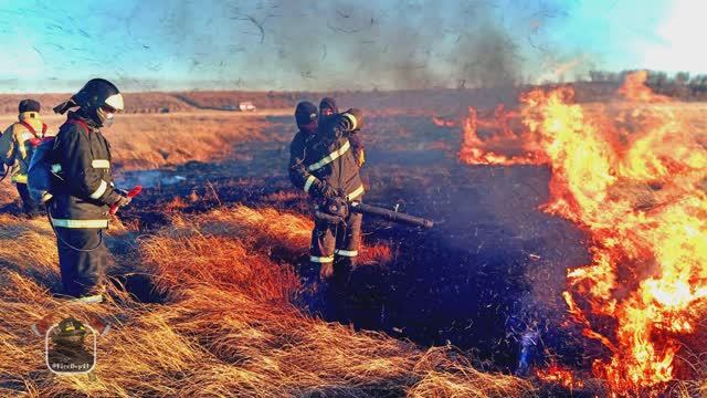 Встречный пал как метод защиты