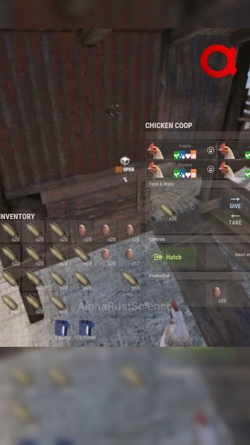 Разводить кур в Расте легко, говорили они...