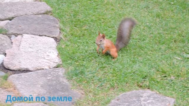 Маруся готовится к зиме