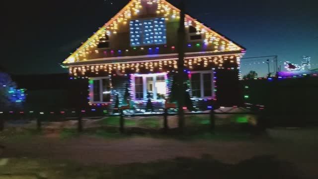 Новый год  2024-2025