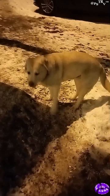 Стоянка спит