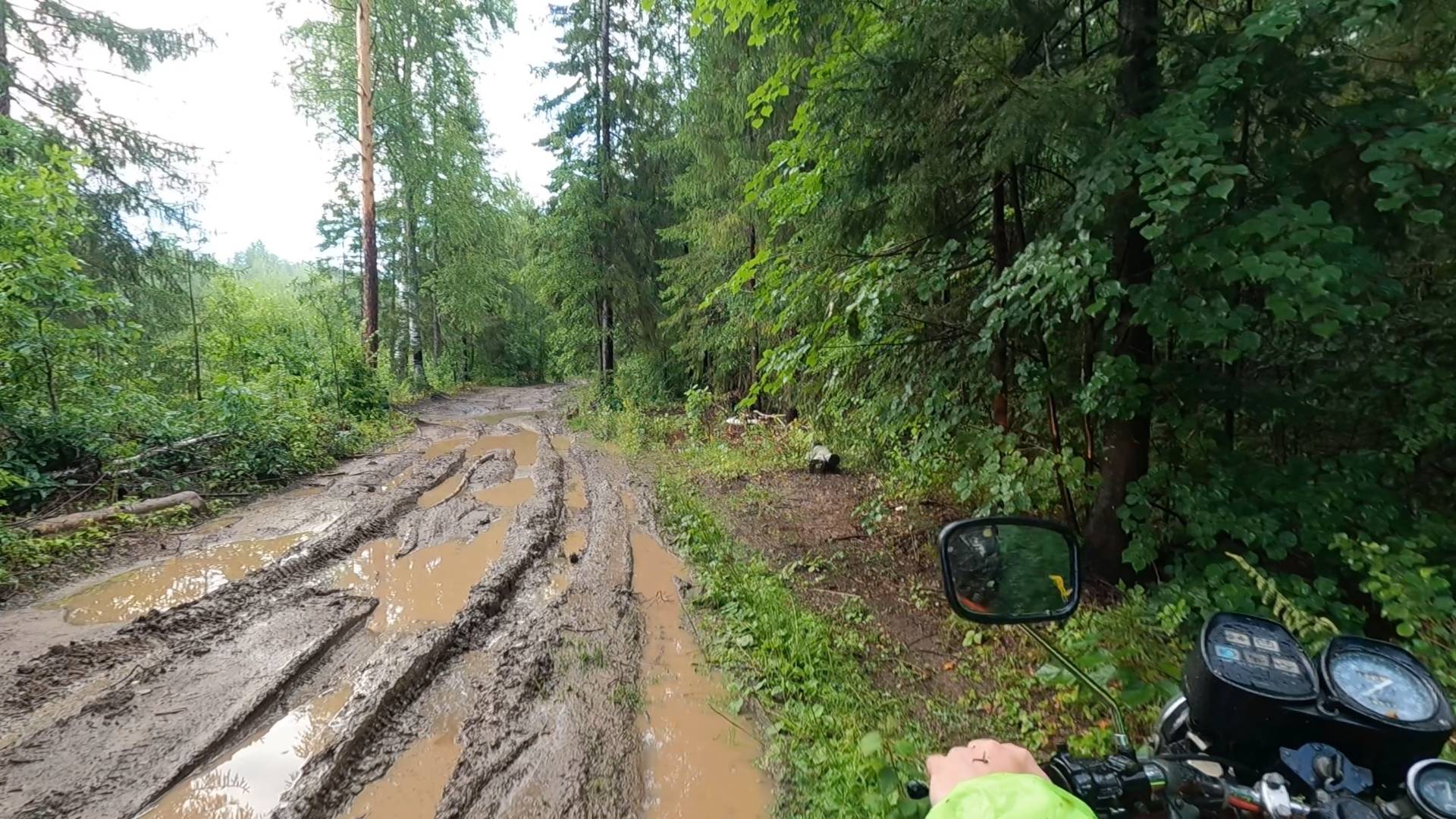 На иже по лесным дорожкам 1.
