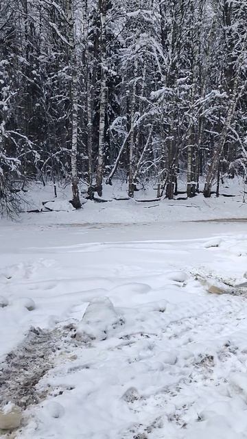 река Кересть