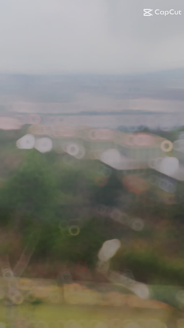 Valley Of Love Dalat #travel #capcut