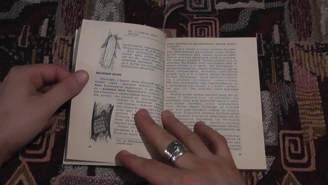"Насекомые в нашем саду" (А.А.Златанова,Б.В.Златанов,1988)