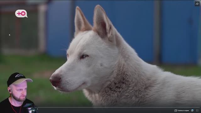 Не беременней в 16. Реакция 1