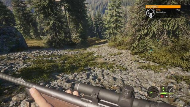 theHunter  Call of the Wild (2)