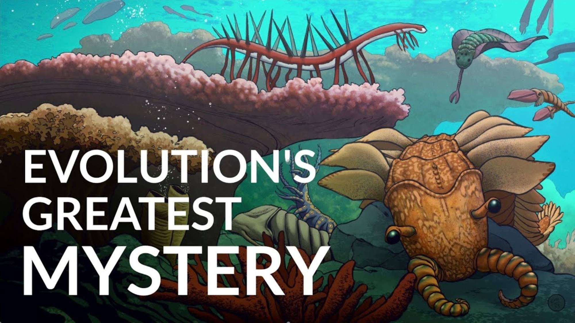 Величайшая загадка эволюции (What Caused The Cambrian Explosion)