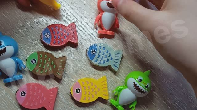 Акулёнок и его весёлая семья!