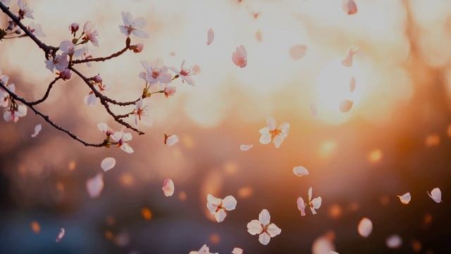 Останусь навсегда