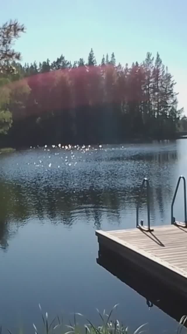 Фата моргана, сверкание висит над водой.