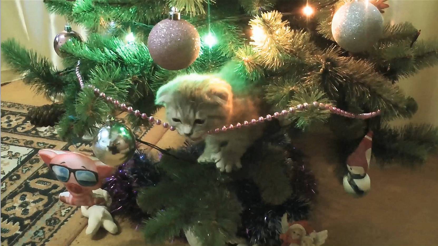 Котенок Барсик и Новый год.