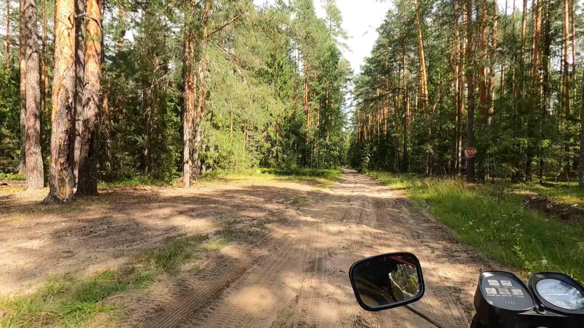 На иже по лесным дорожкам 2.