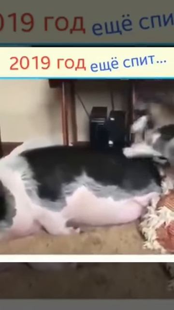 2019 год еще спит