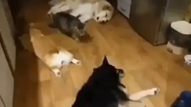 Тихо тихо я сейчас