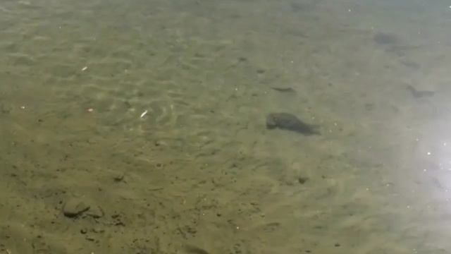 Красоты нашей природы 🏞️