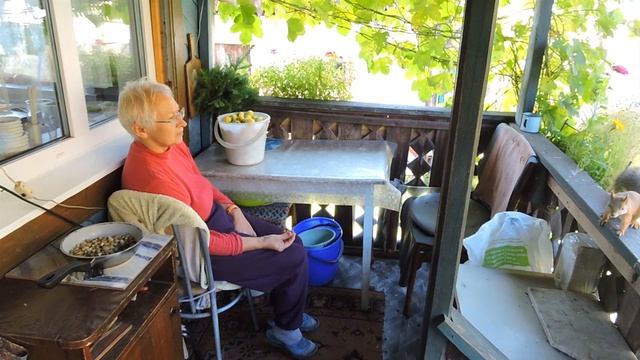 Марусино лето 24. Бегающая по проводам. 2