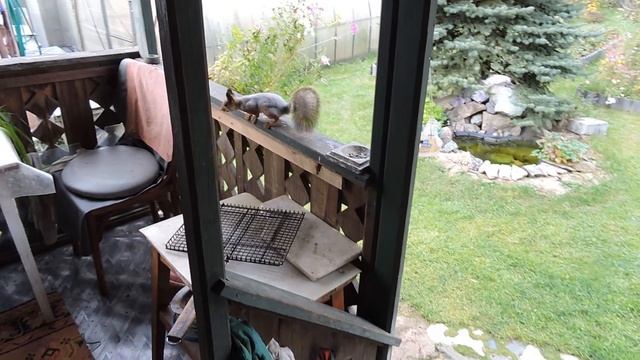 Маруся в начале октября. Переодевание.