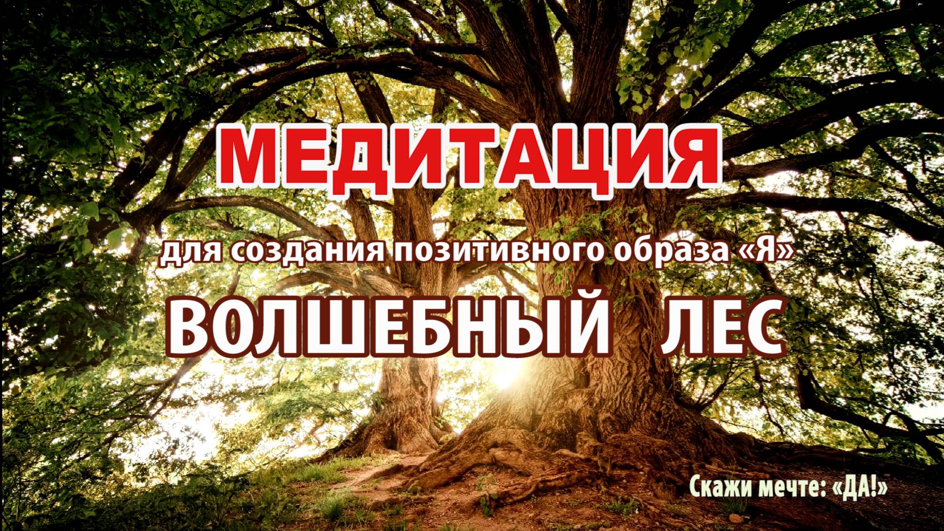 Медитация для создания позитивного образа «Я». Волшебный лес.