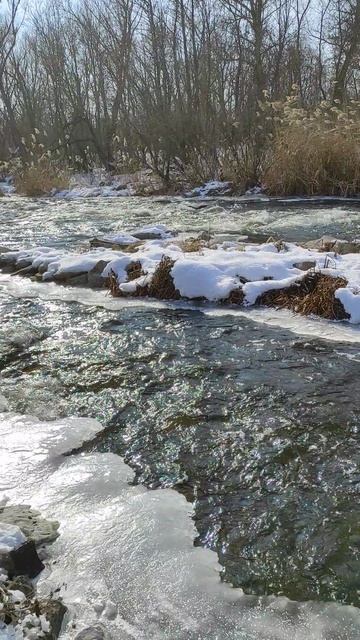 река Калитва замёрзла