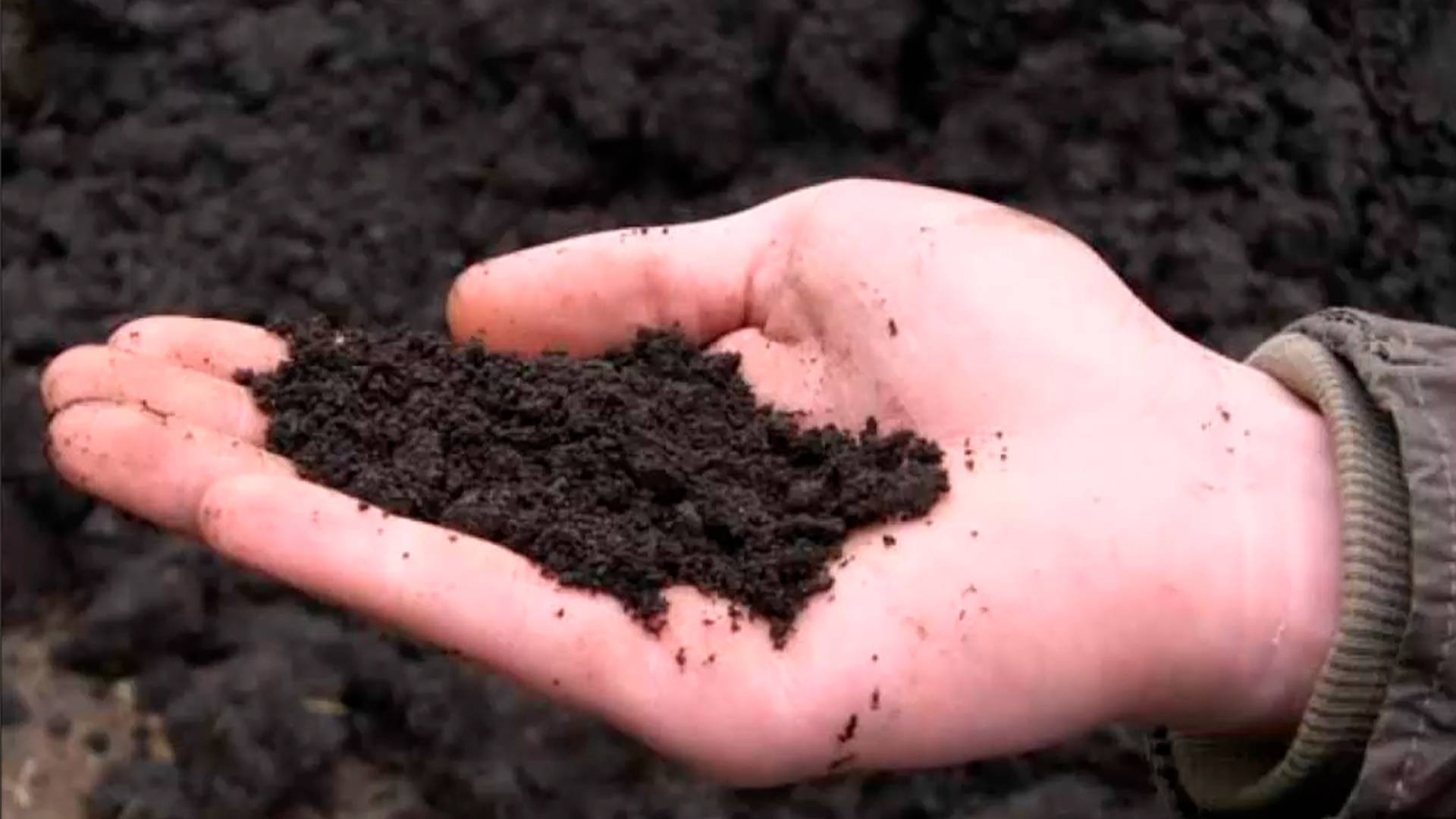 АНАЛИЗ ПОЧВЫ НА УЧАСТКЕ. КАКИЕ БЫВАЮТ ТИПЫ ГРУНТА