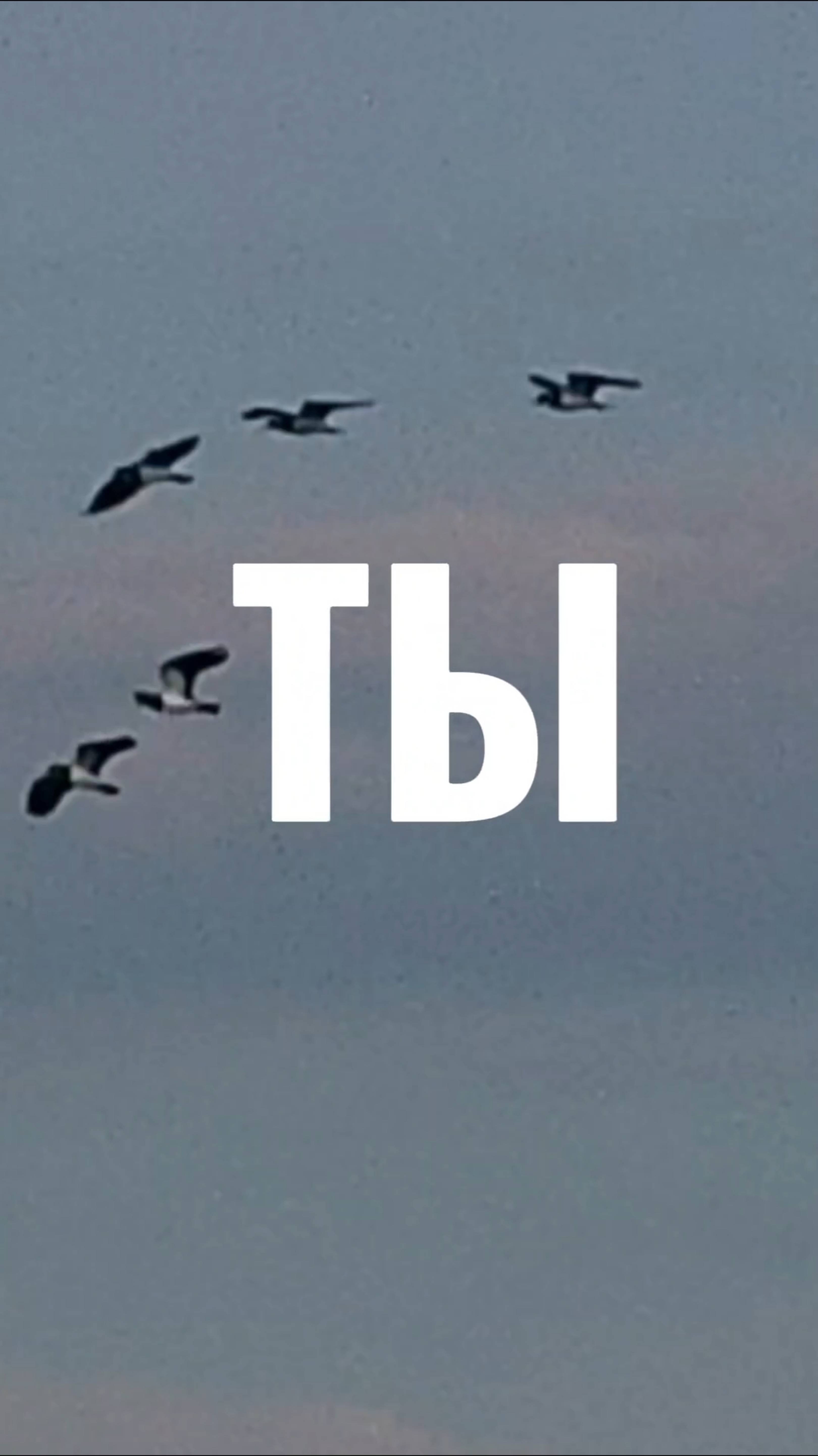 ТЫ. Потоковая позия.