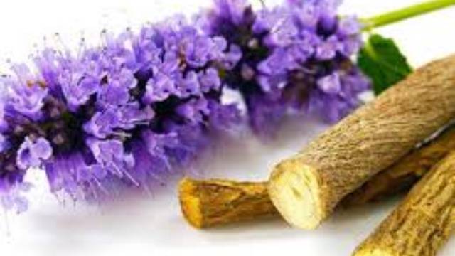 Лечебные свойства корней солодки давно нашли применение в традиционной медицине