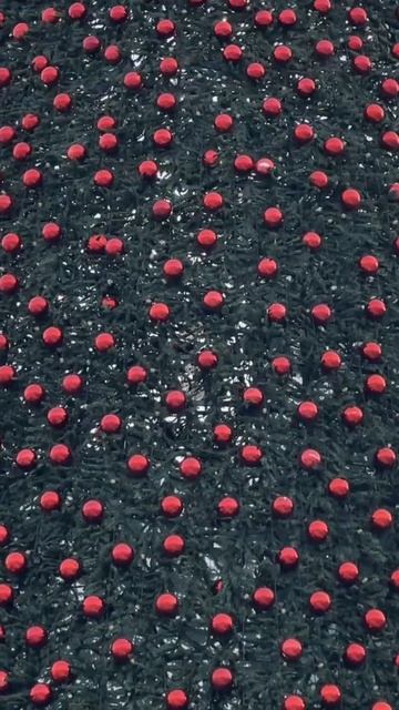 🎄✨Түндүк Жарыктары: Жаңы Жылдык Сыйкыр!❄️🌟 | TuneSmith