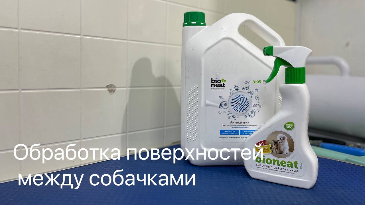 Обработка поверхностей между собаками на груминге