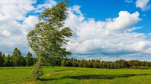 ЗВУК СИЛЬНОГО ВЕТРА. Звуки Ветра. Шум Ветра