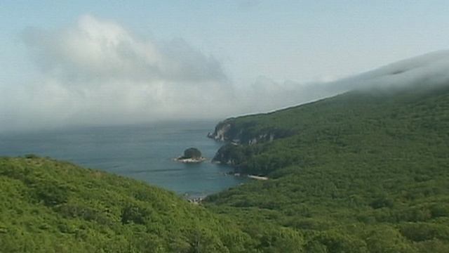 (ретро) ГАМОВ Теляковского. ТУМАН х10