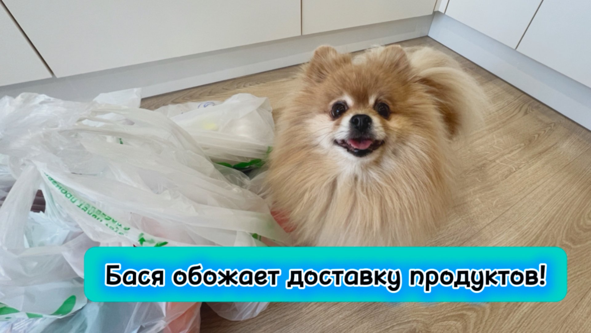 Бася обожает доставку продуктов!