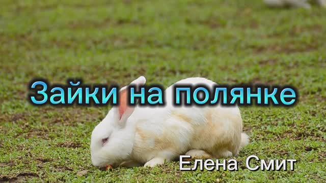 Песенка-потешка про зайцев. Детская песенка про зайчиков. Народная потешка. .