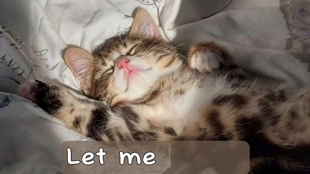 Инфинитивы с to и без (Infinitives with & without TO)