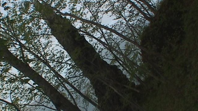 (ретро) скала Чёртов палец