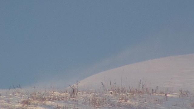 (ретро) ЗИМА. снег метёт на сопке