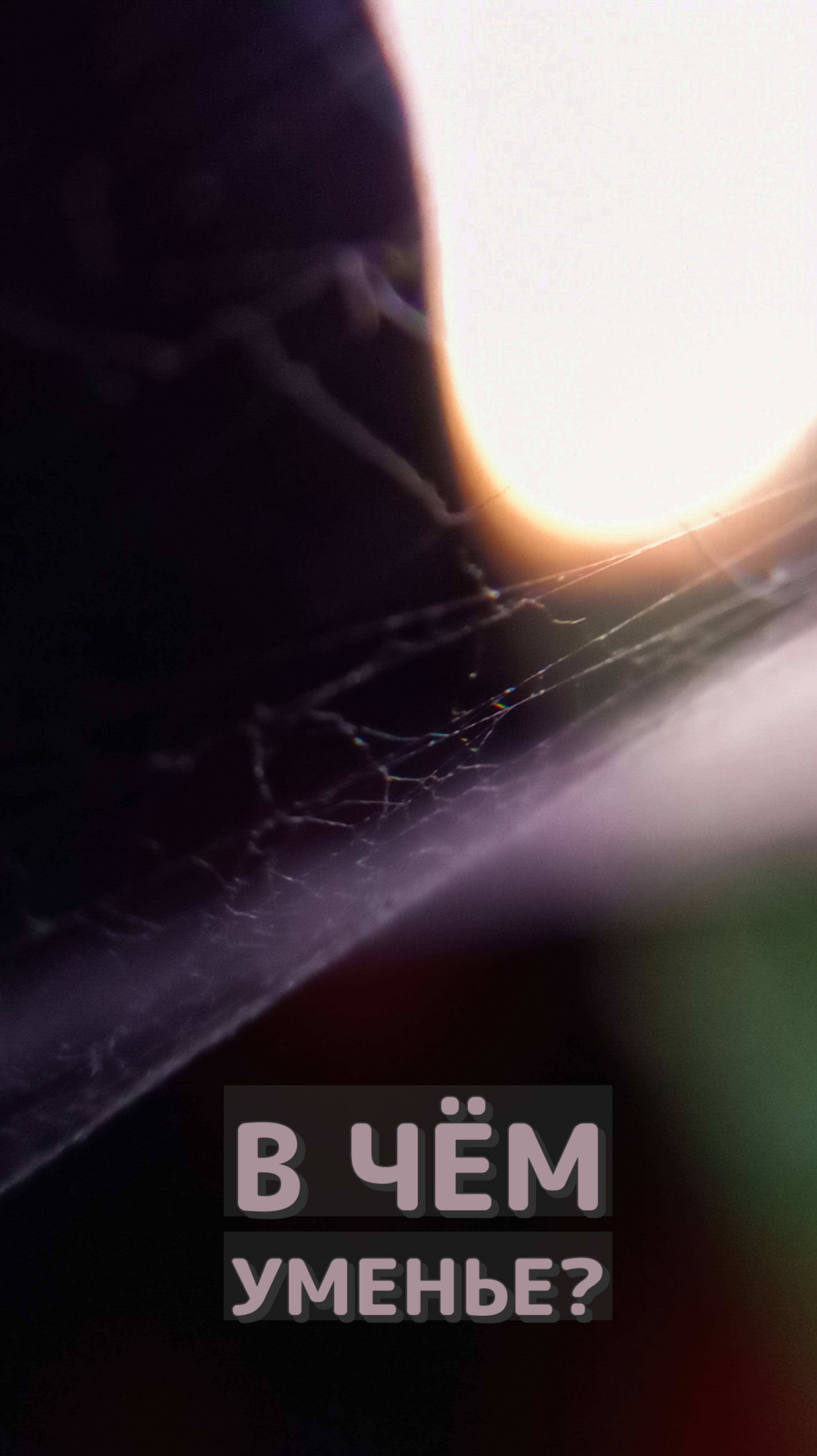 В чём умение? #shorts