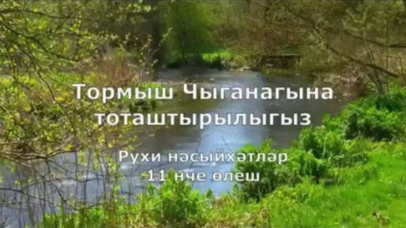 Тормыш Чыганагына тоташтырылыгыз. 11-нче тапшыру.