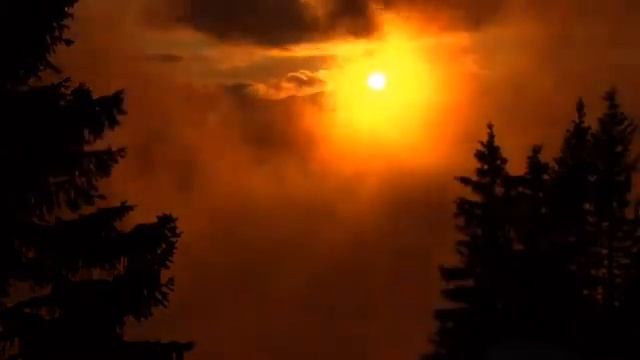 Новогодняя звезда