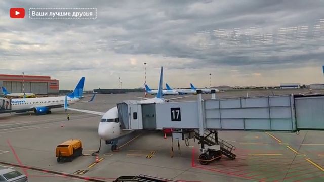 ПОБЕДА ОФИГЕЛА. ТРЕШ В АЭРОПОРТУ ШЕРЕМЕТЬЕВО.