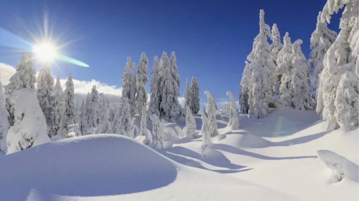 Снежная зима