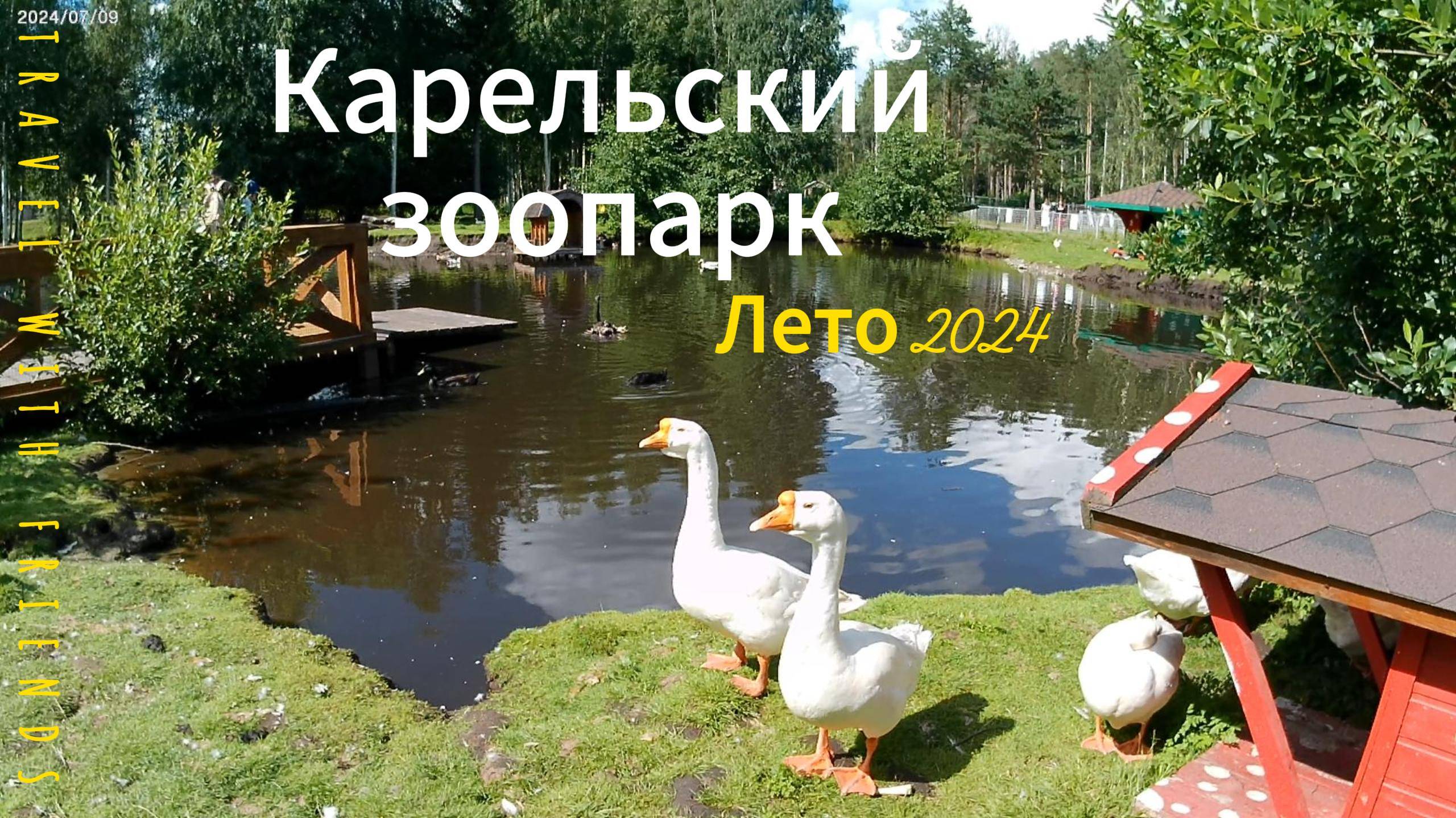 Карельский зоопарк 2024