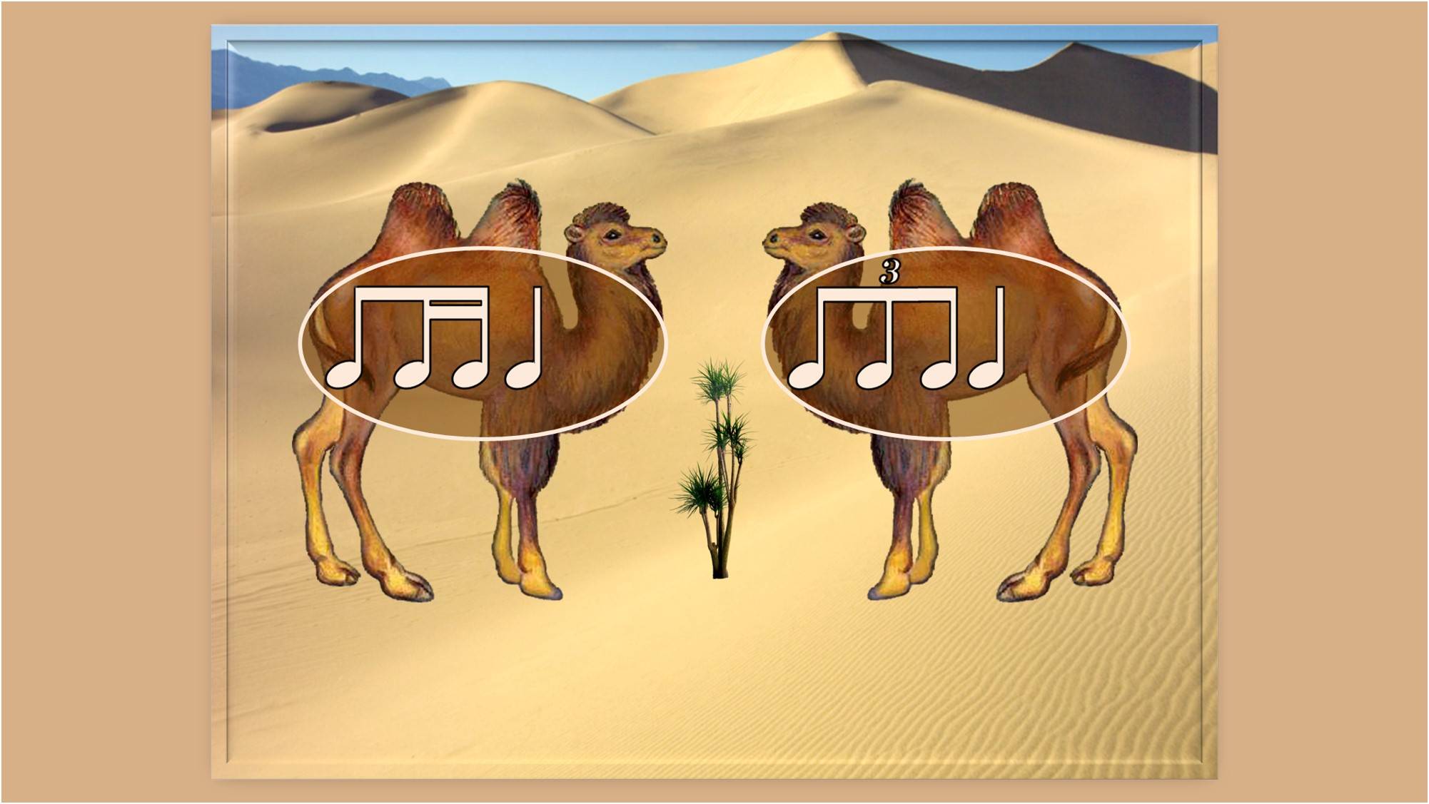 Караван Ритмы