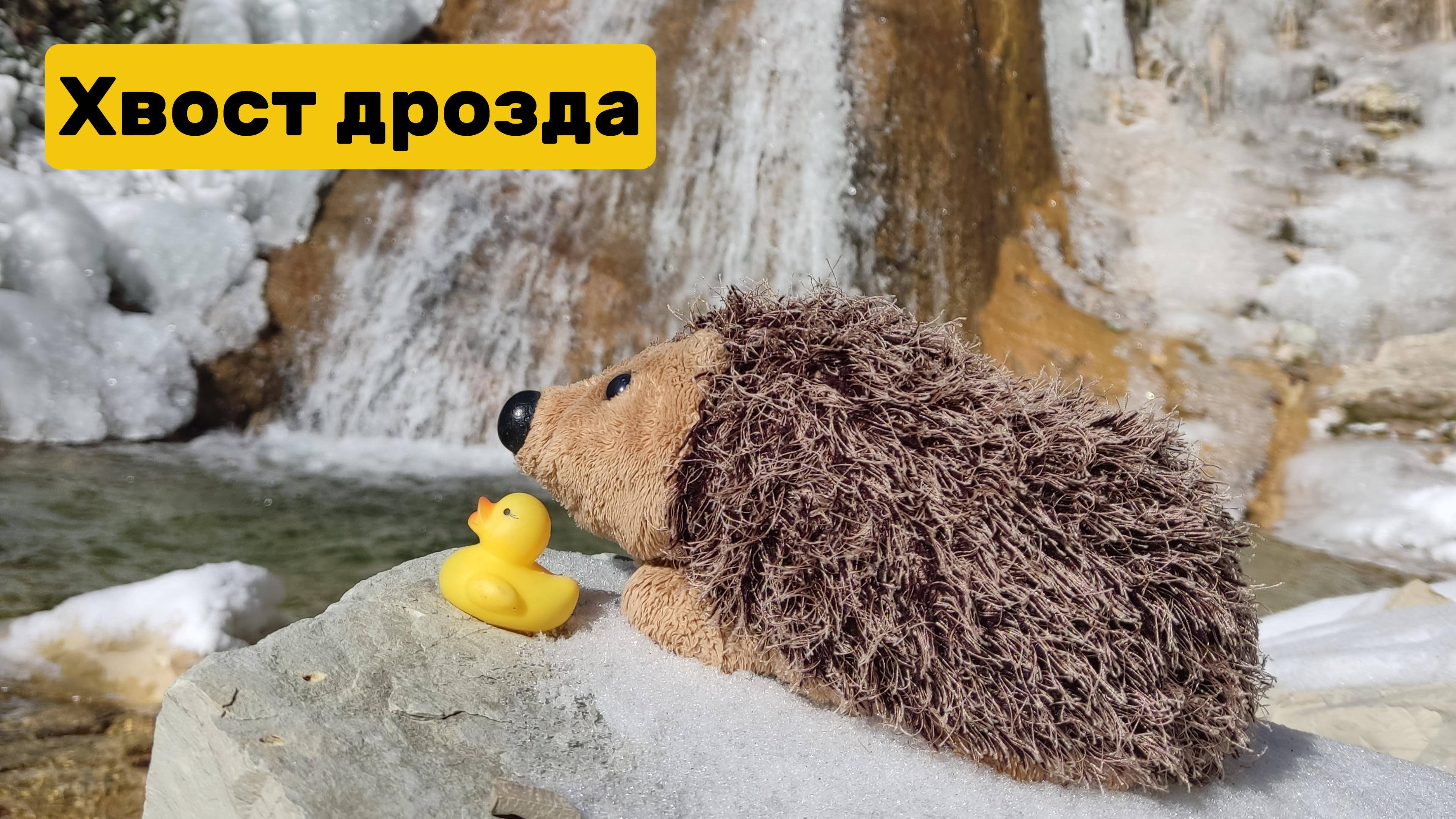 Хвост дрозда. Идем посмотреть на замерзший водопад зимой.