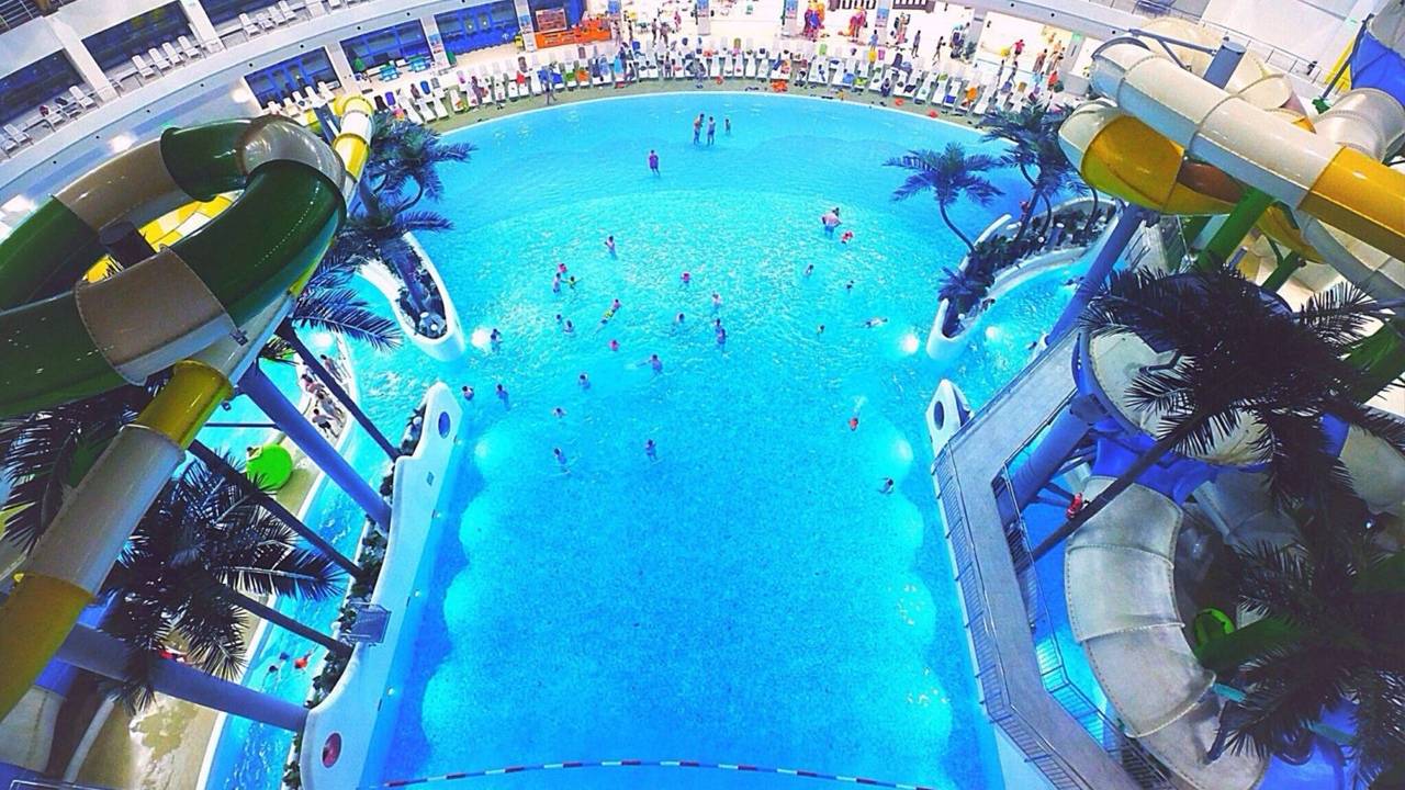 Почти всё о Новосибирске - ЦИРК , ПЛАНЕТАРИЙ , АКВАПАРК.