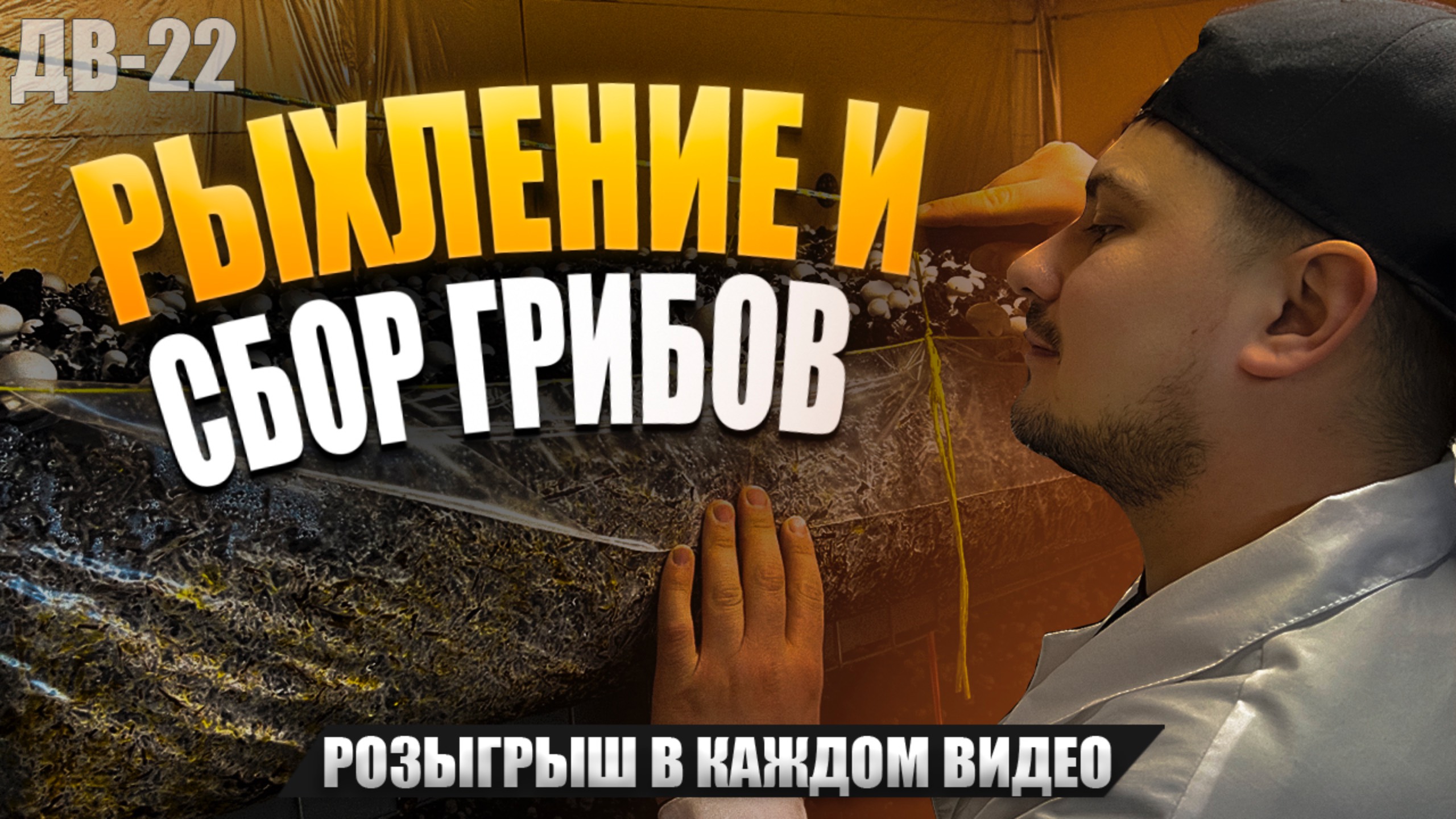 ГРИБНОЙ АНАЛИЗ | ДВ 22